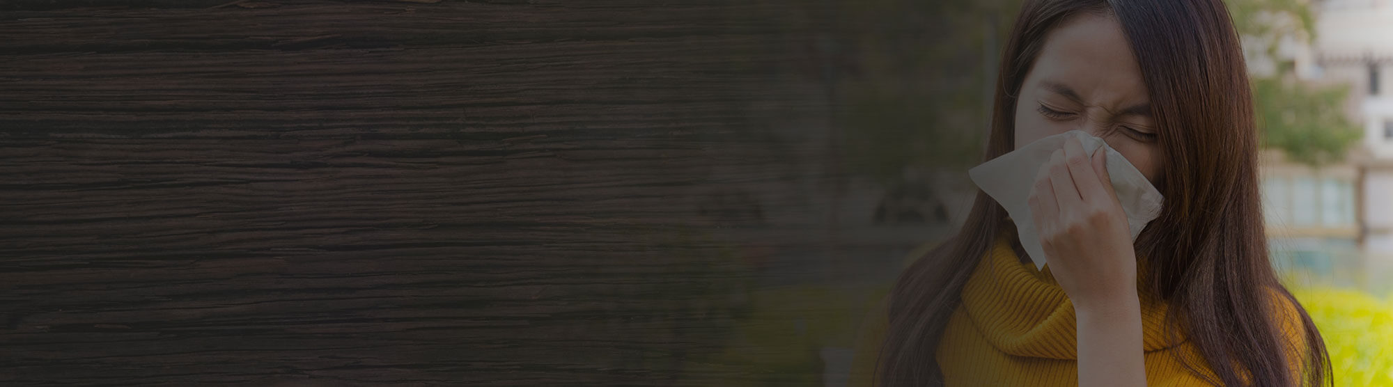 Supplements For Allergies | Herbal Chinese Medicine | Solstice Medicine ...