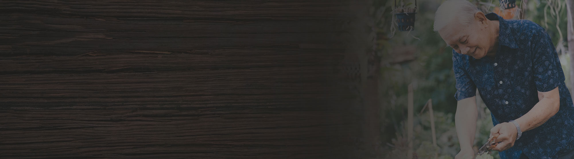 Men’s Health — Solstice Medicine